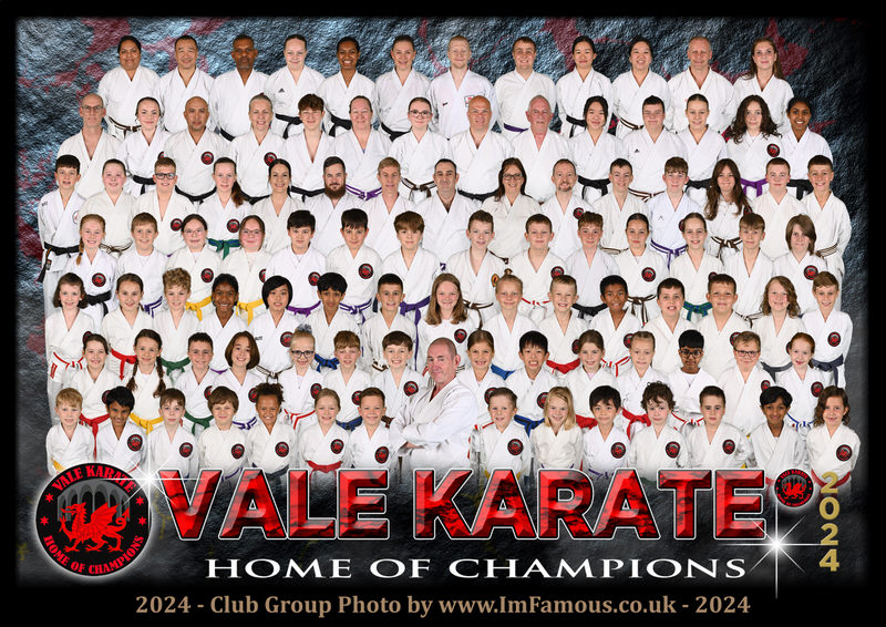 Vale Karate - Thur 11th to Fri 12th July - 2024 Photos - Martial Arts ...